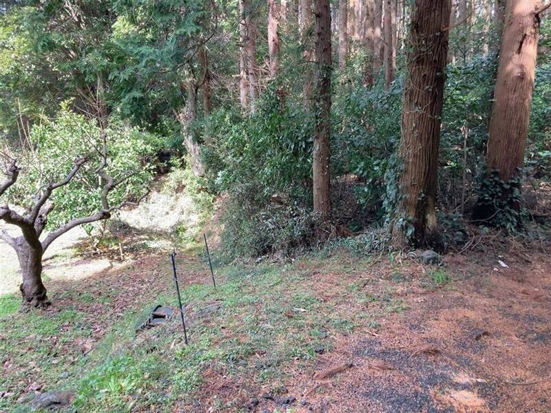 【C-AC557】左京殿城跡