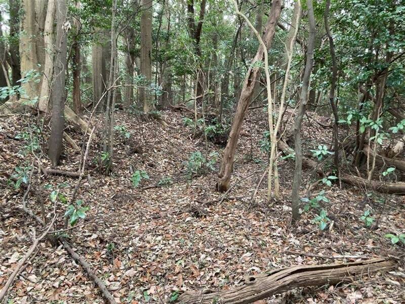 【C-AC557】左京殿城跡