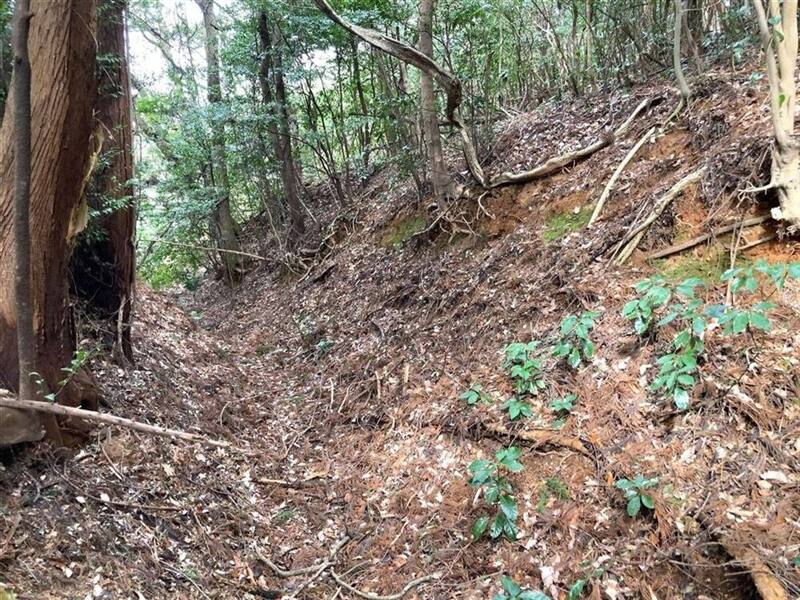 【C-AC557】左京殿城跡