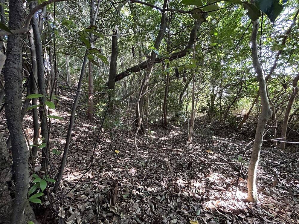 【C-ME151】蓮花寺西城跡