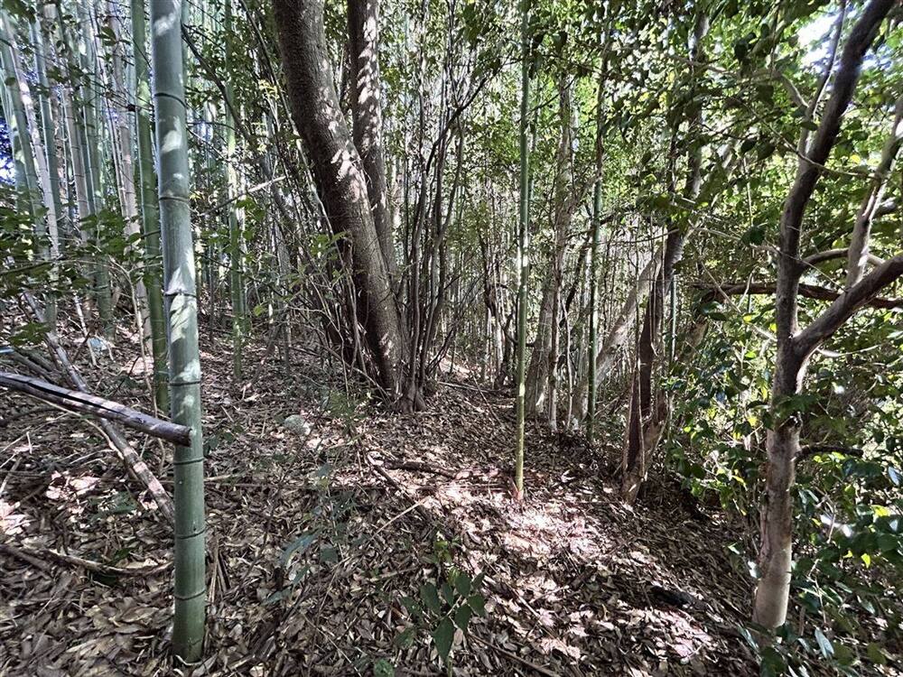 【C-ME151】蓮花寺西城跡