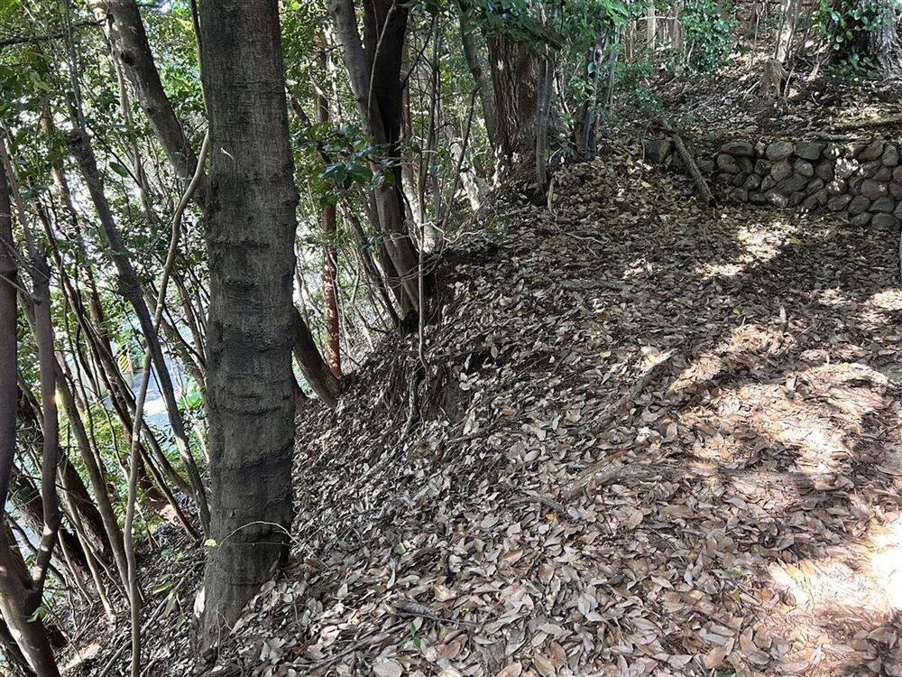 【C-ME151】蓮花寺西城跡