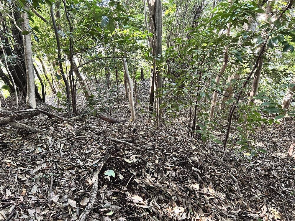 【C-ME151】蓮花寺西城跡