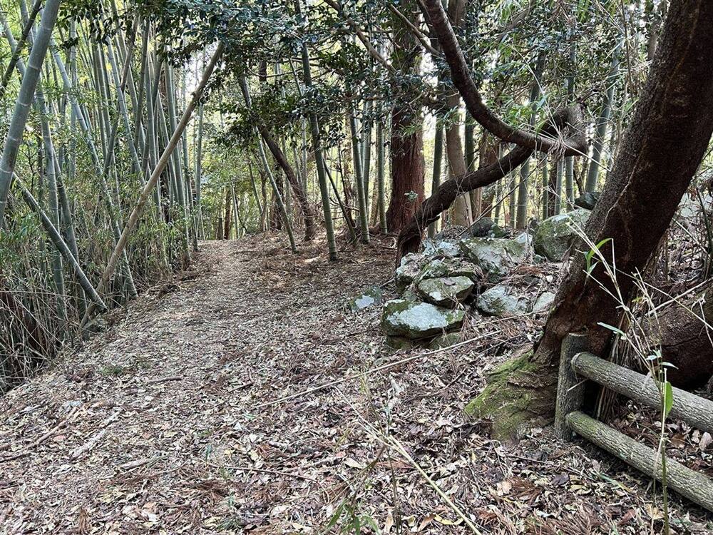 【C-ME164】近津長谷城跡