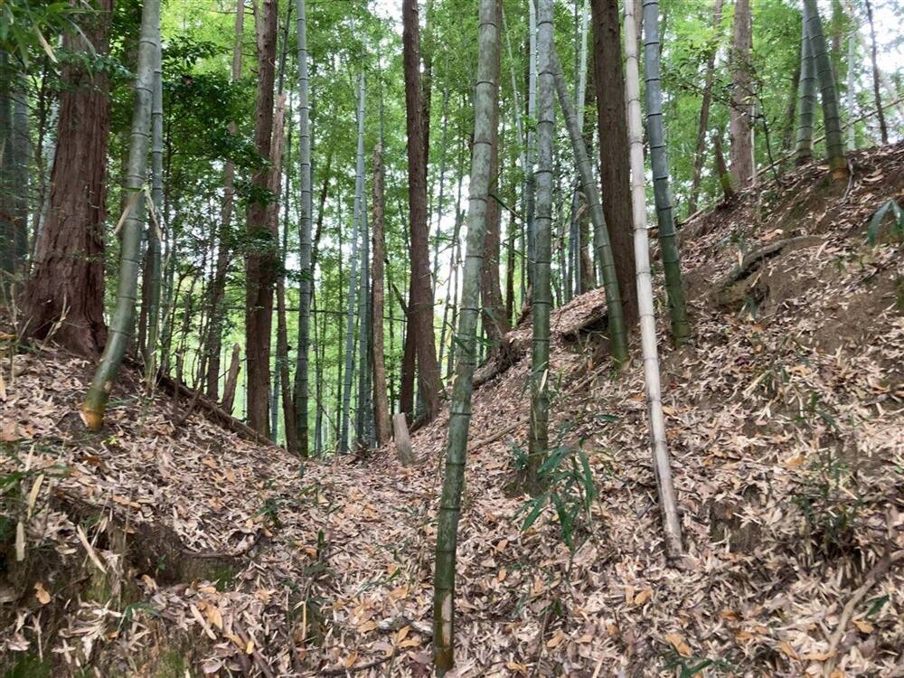 【C-NR040】赤尾城跡